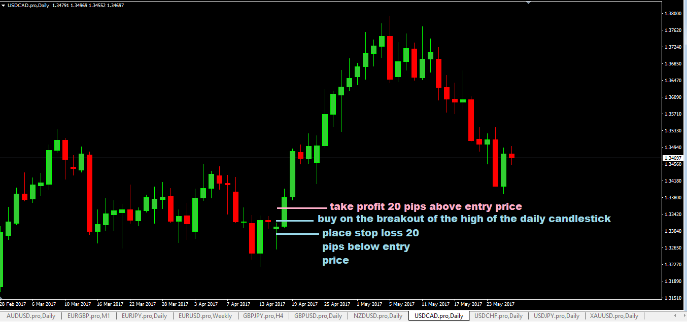 20 Pips A Day Forex Trading Strategy - ForexCracked