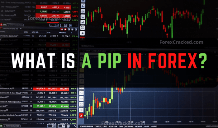What is a Pip in Forex? - ForexCracked
