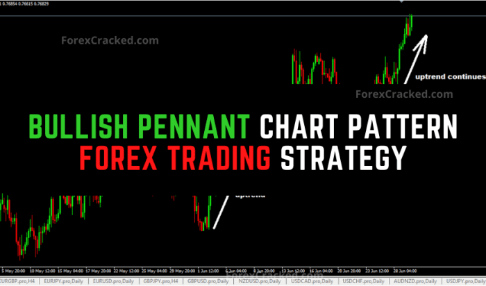 Bullish Pennant Chart Pattern Forex Trading Strategy - ForexCracked