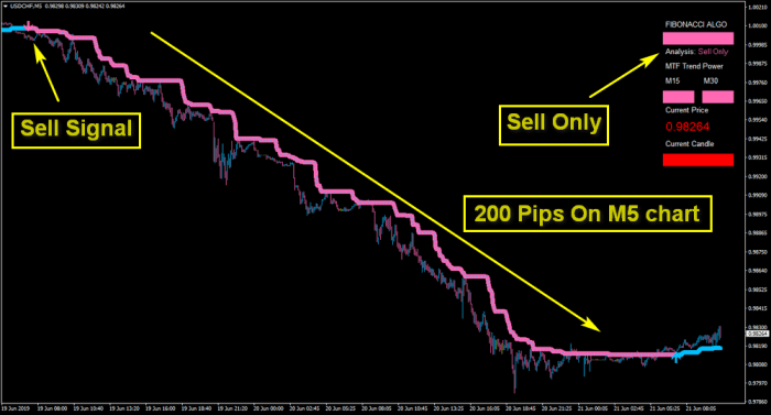 Algo Fibonacci Scalper System FREE Download - ForexCracked