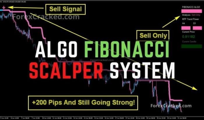 Algo Fibonacci Scalper System FREE Download - ForexCracked