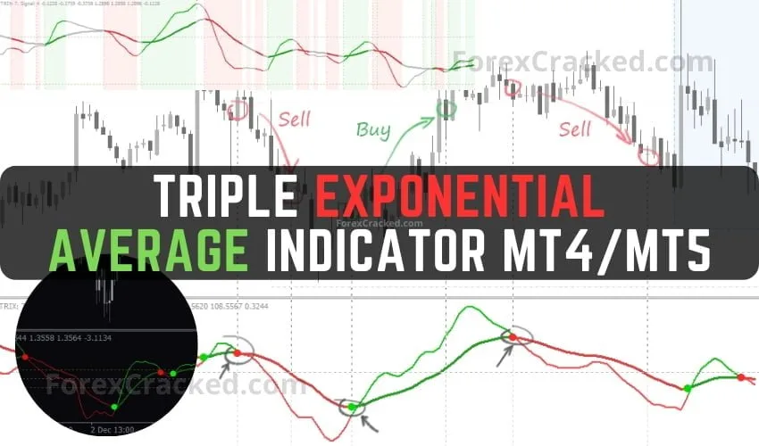 Triple Exponential Moving Average Indicator MT4/MT5 FREE Download - ForexCracked