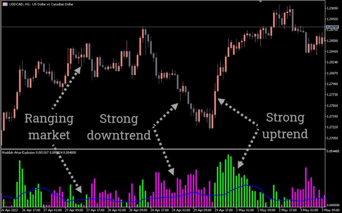 Waddah Attar Explosion Forex Indicator MT5 Free Download - ForexCracked