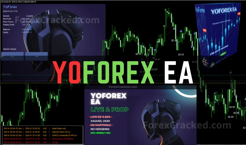 YoForex FREE EA Download - ForexCracked