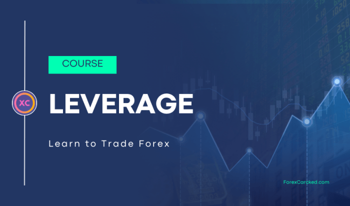 What is Leverage in Forex Trading? - ForexCracked