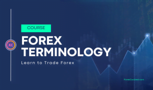 Forex Terminology for Beginners - ForexCracked