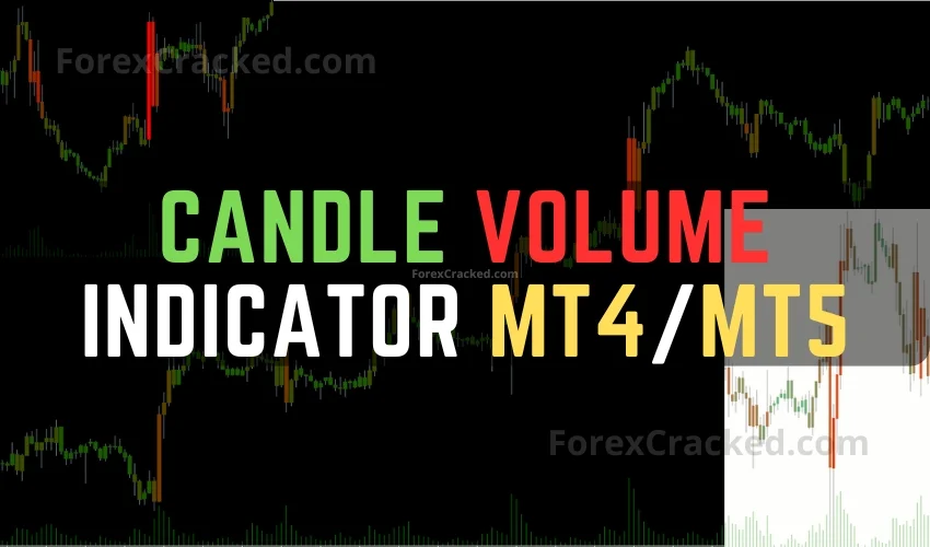 Candle Volume Indicator MT4/MT5 FREE Download - ForexCracked