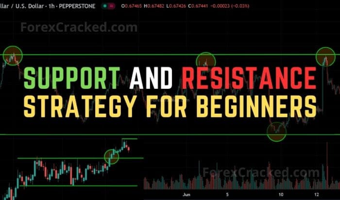 Support and Resistance Forex Strategy for Beginners - ForexCracked