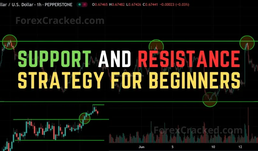 Support and Resistance Forex Strategy for Beginners - ForexCracked