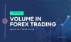 What is Volume in Forex Trading? - Beginners Guide - ForexCracked