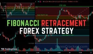 Fibonacci Retracement Forex Strategy for Beginners - ForexCracked