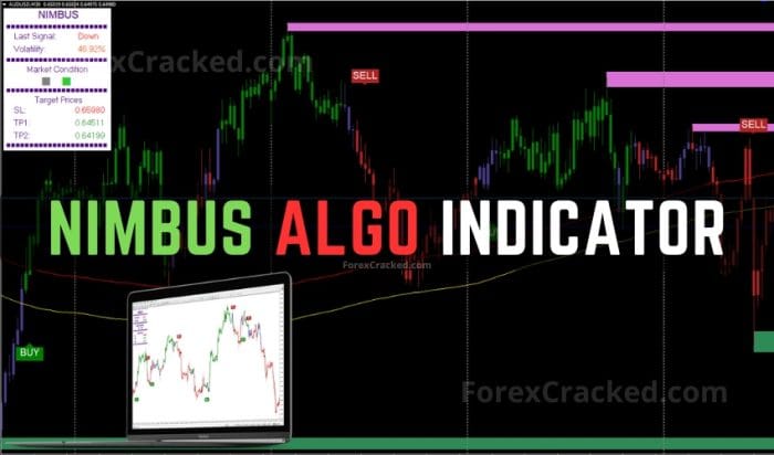 Nimbus Algo FREE Indicator Download - ForexCracked