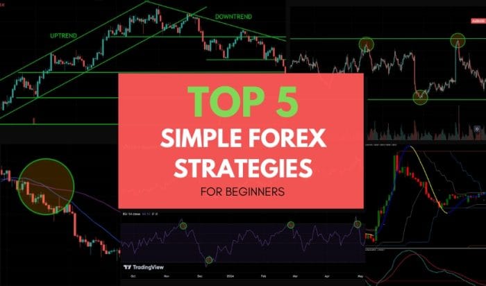 Top 5 Simple Forex Strategies for Beginners - ForexCracked