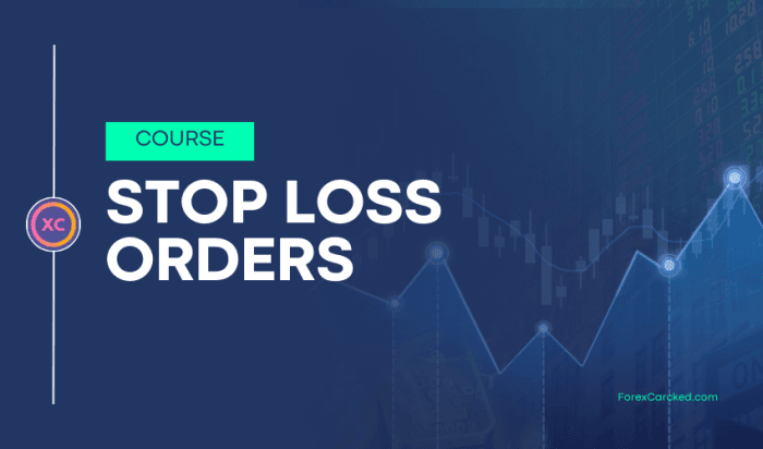 What Are Stop Losses and Why They Are Important in Forex Trading ...
